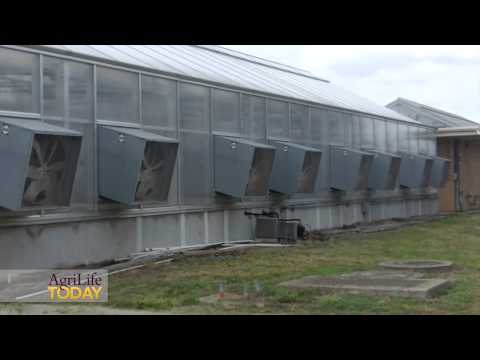 Congressmen visit Texas A&M AgriLife Research facilities