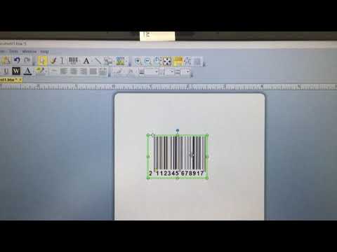BarTender Design Software: How to print EAN-13 barcode with the guard bars?