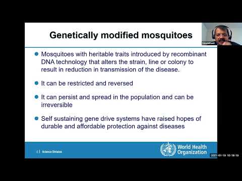 Evaluation of genetically modified mosquitoes for the control of vector-borne diseases
