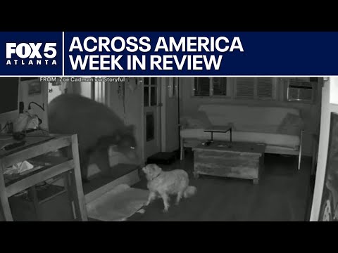 Baby killed, girl rescued, chainsaw suspect lassoed | FOX 5 News