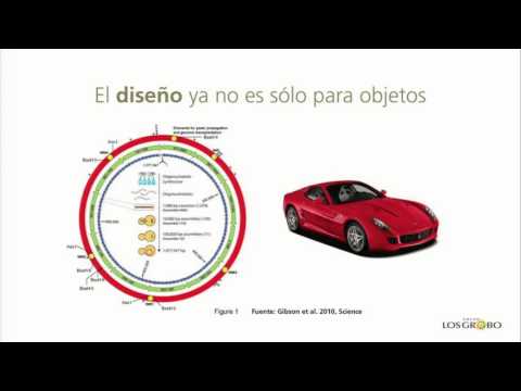 IICA - Present and Future of the Agricultural Mechanization in Latin America. Nov 4th, 2016, Part 4