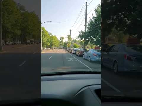 New York Driver's License Road Test