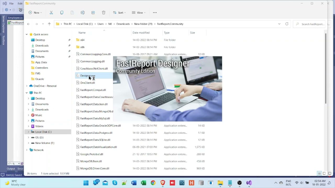 Fast Report using c# ASP.NET MVC