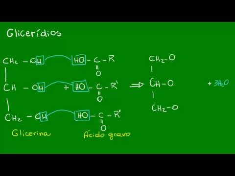 Gorduras - Biologia | Manual do Enem