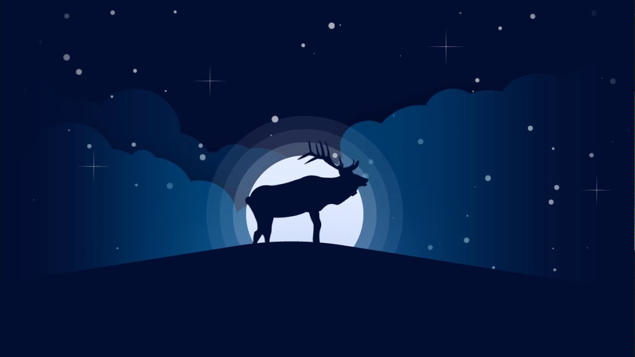 Moonlight Night Vector Animation