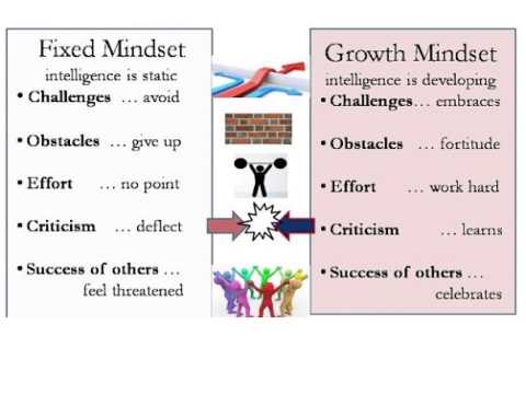 Mindset theory