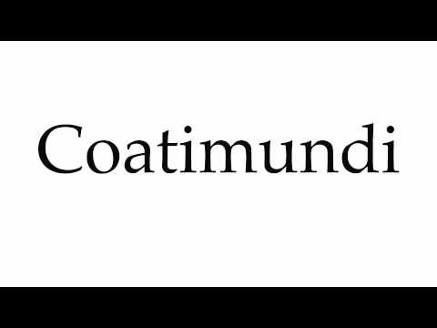 How to Pronounce Coatimundi