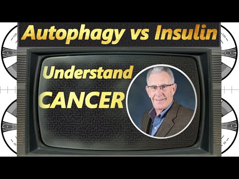 Why autophagy saves cells and insulin destroys them - and why this reverses in tumor cells