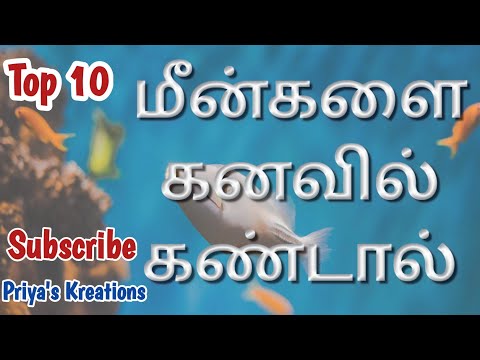 மீன் கனவில் கண்டால் என்ன பலன்? Top 10 | Fish kanavu | கனவு தரும் பலன்கள் @PriyasKreations