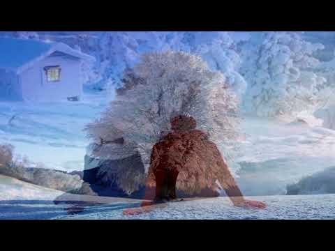 Unpredictable nature (HD1080p)