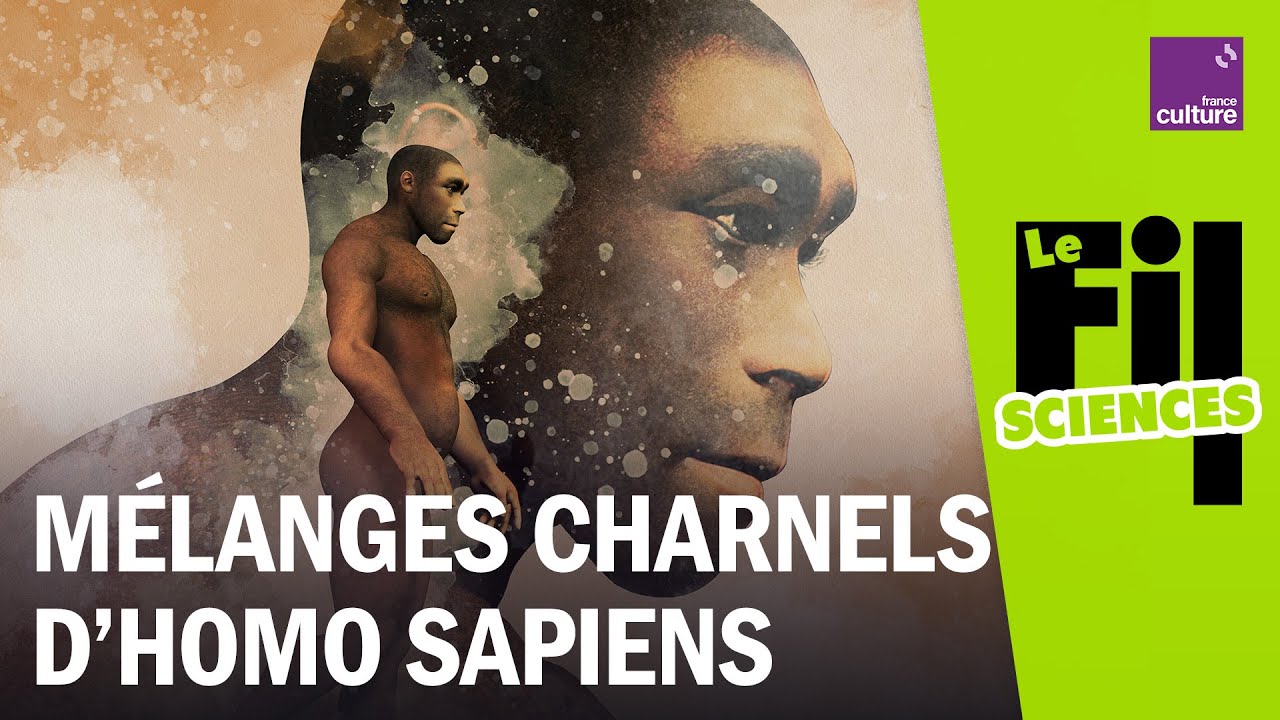 Combien d'espèces humaines font partie de nous ?