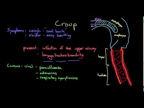 What is croup?