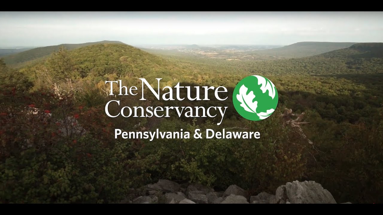 PA/DE 2022 Impact Report Intro