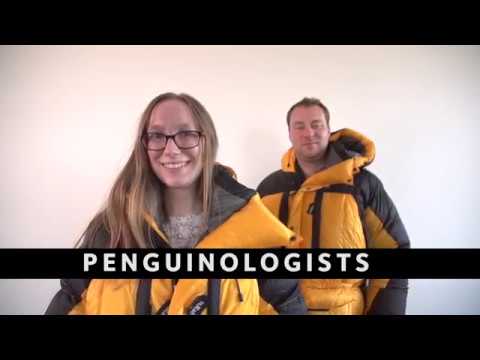 A Penguinologist's life