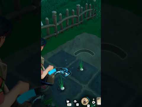 Farming guide & tips in Palia! Everything you need to know about crops.