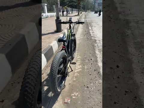 This E Bike has a Bafang Hub Motor || 48v/250w||