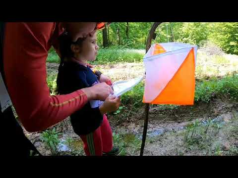 World orienteering day 2019