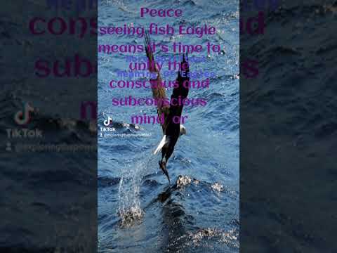 More Spiritual Meaning Of Eagles #youtubeshorts #lawofattraction #spiritualawakening