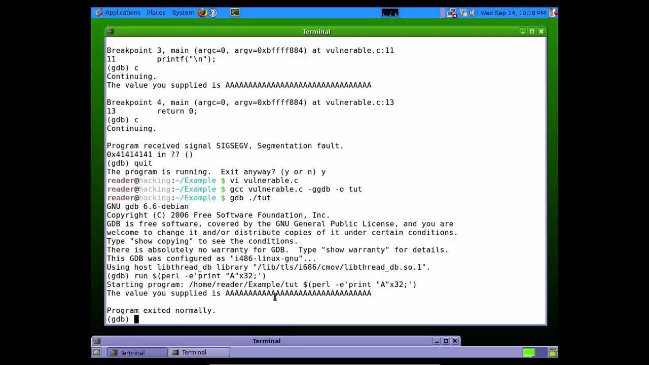 Buffer Overflow Tutorial - Part 4