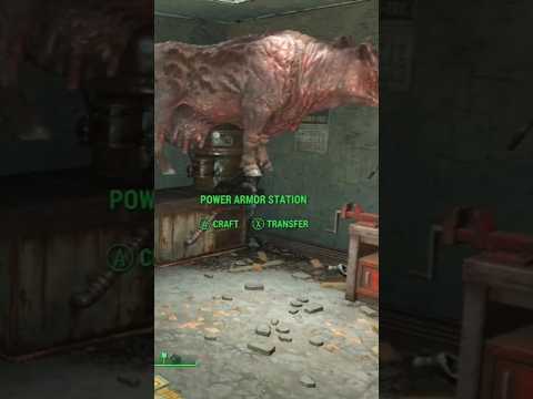 These damn cows π π #gaming #fallout4 #bethesda #fallout #cow #brahmins #games #xbox