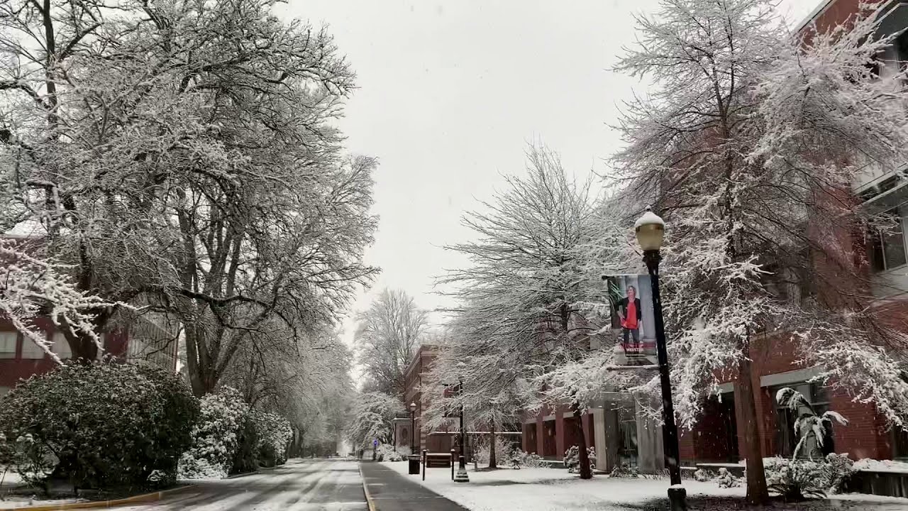 Unexpected snow in Corvallis Oregon