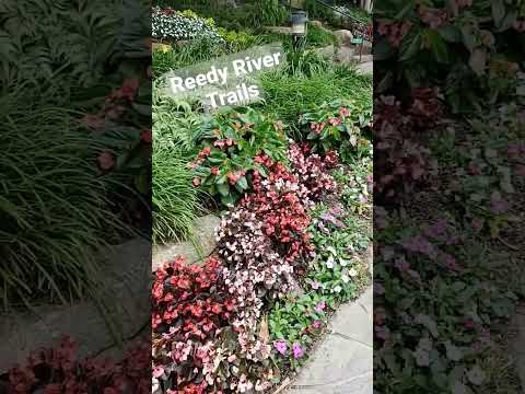 The Reedy River trails in Greenville, SC
