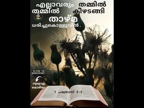 Stay Blessed....#Bibleverses