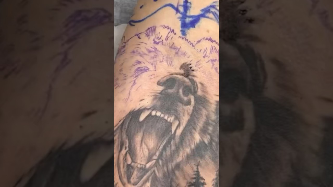 Realistic bear portrait tattoo 🐻 #tattoo #bear #realistic #howto #timelapse