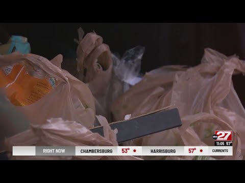 Wegmans to stop using plastic bags at all stores by end of 2022