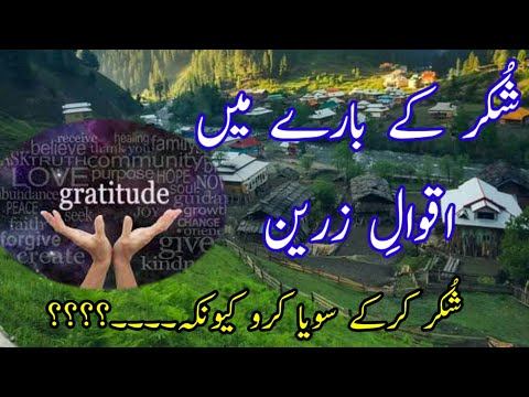 Quotes about gratitude(شُکر گزاری) in urdu | Achi Batain