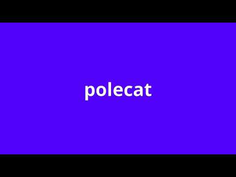 what is the meaning of polecat