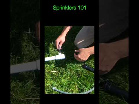 Lawn Sprinkler Basics | What is an Irrigation System