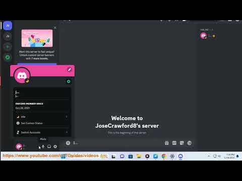 What does idle mean in Discord? discord pfp? discord developer portal?