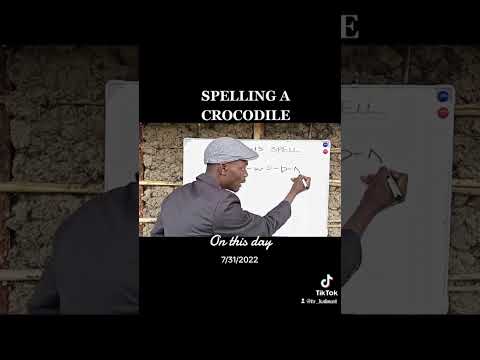 SPELLING A CROCODILE.#trending #comedy
