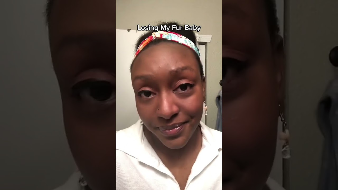 Heartfelt tribute to a beloved companion #petlossgrief #petmemorial