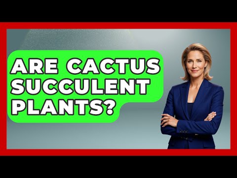 Are Cactus Succulent Plants? - The Plant Enthusiast