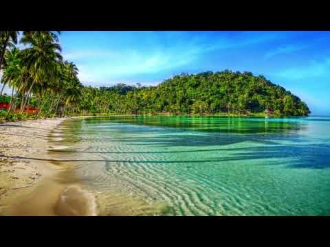 Discover Your Inner Zen: Tropical Beach Paradise Ambiance Video for Yoga and Meditation