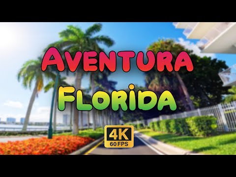 Aventura, Florida’s David Joseph Nepo accused of kicking elderly man ...