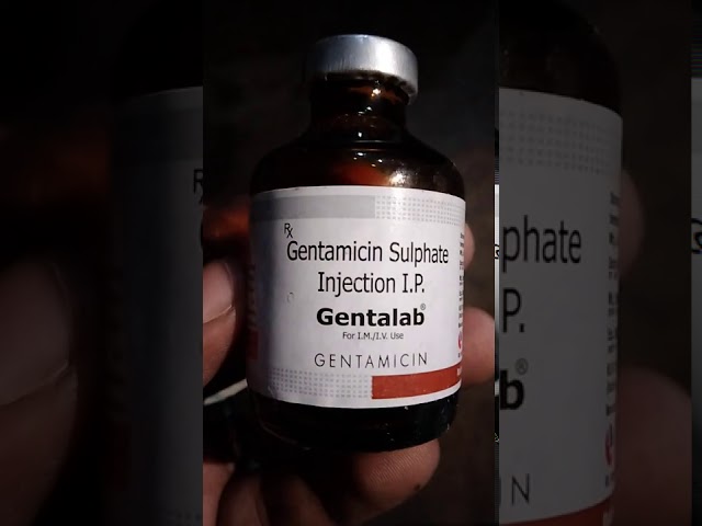 Antibiotic and Anti Inflammatory Drugs - Azithromycin Tablet 500 Mg 100 ...