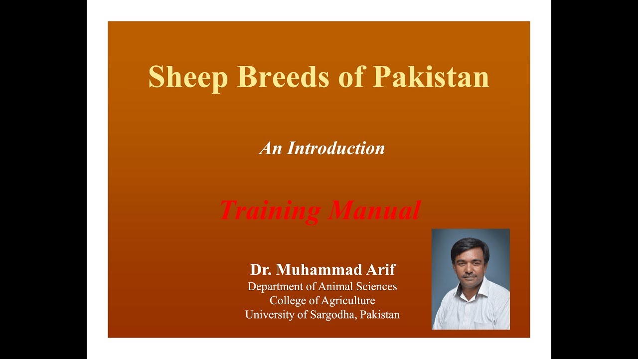 Sheep Breeds of Pakistan #animalscience #sheepbreeds #sheepbreedsofpakistan #Pakistanisheep