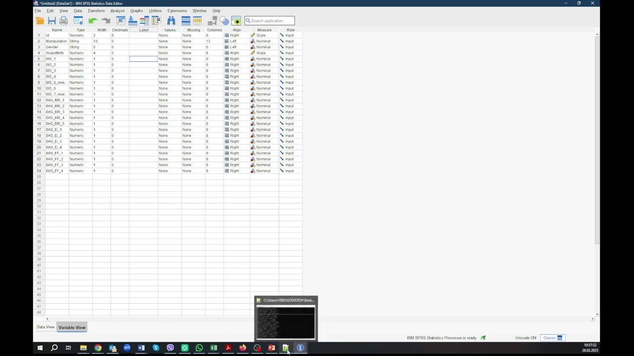 04 Excel vs SPSS: Working with Data