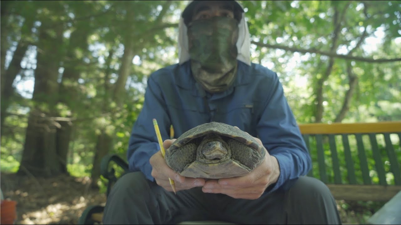 Turtle Tracker | URI's Coastal Fellows Program