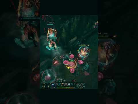 ZED BRÖHHHHHHHHHHH