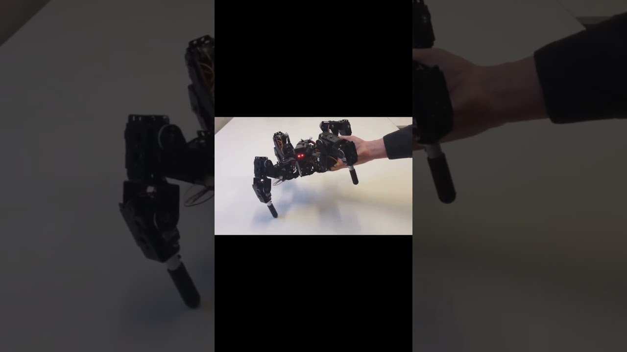 This Quadruped Robot 4DOF Walks Like a Real Animal! 🤖🐾