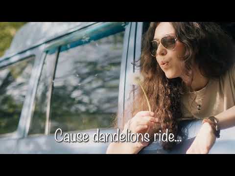 John Stea - Songs, Events and Music Stats | Viberate.com