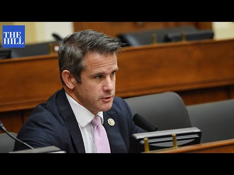 Adam Kinzinger criticizes social media CEOs for disinformation