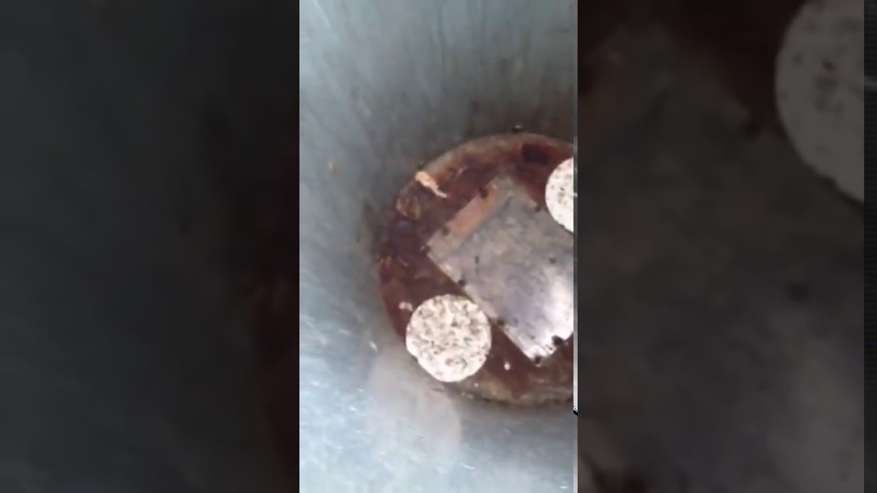 Kid Falls Through Street Trash Bin