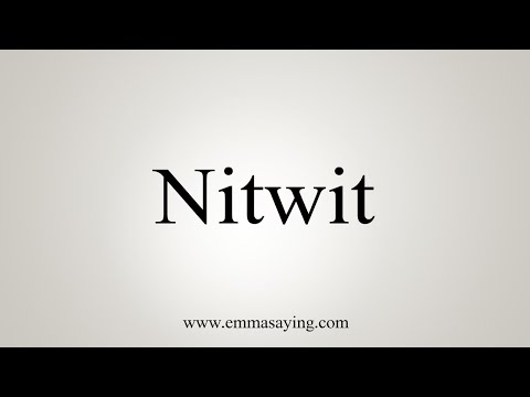 How To Say Nitwit