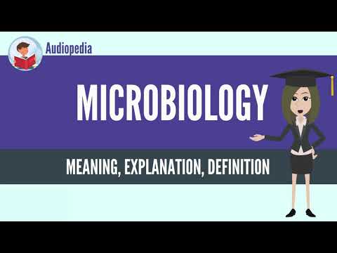 What Is MICROBIOLOGY? MICROBIOLOGY Definition & Meaning