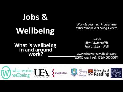 What is wellbeing in work? A presentation by Professor Kevin Daniels